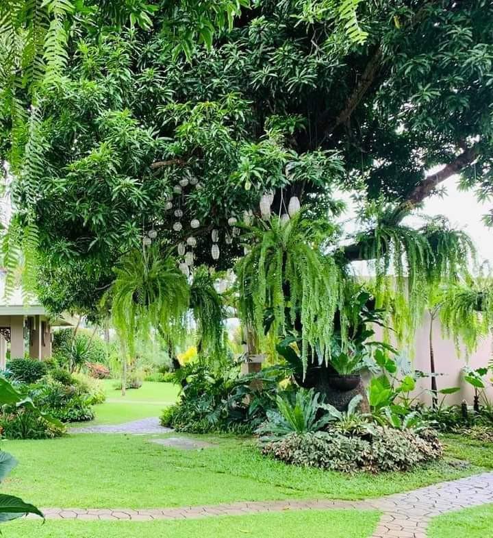 "Jhay Cyrus" landscaping tropical Garden modern maintenance services ...