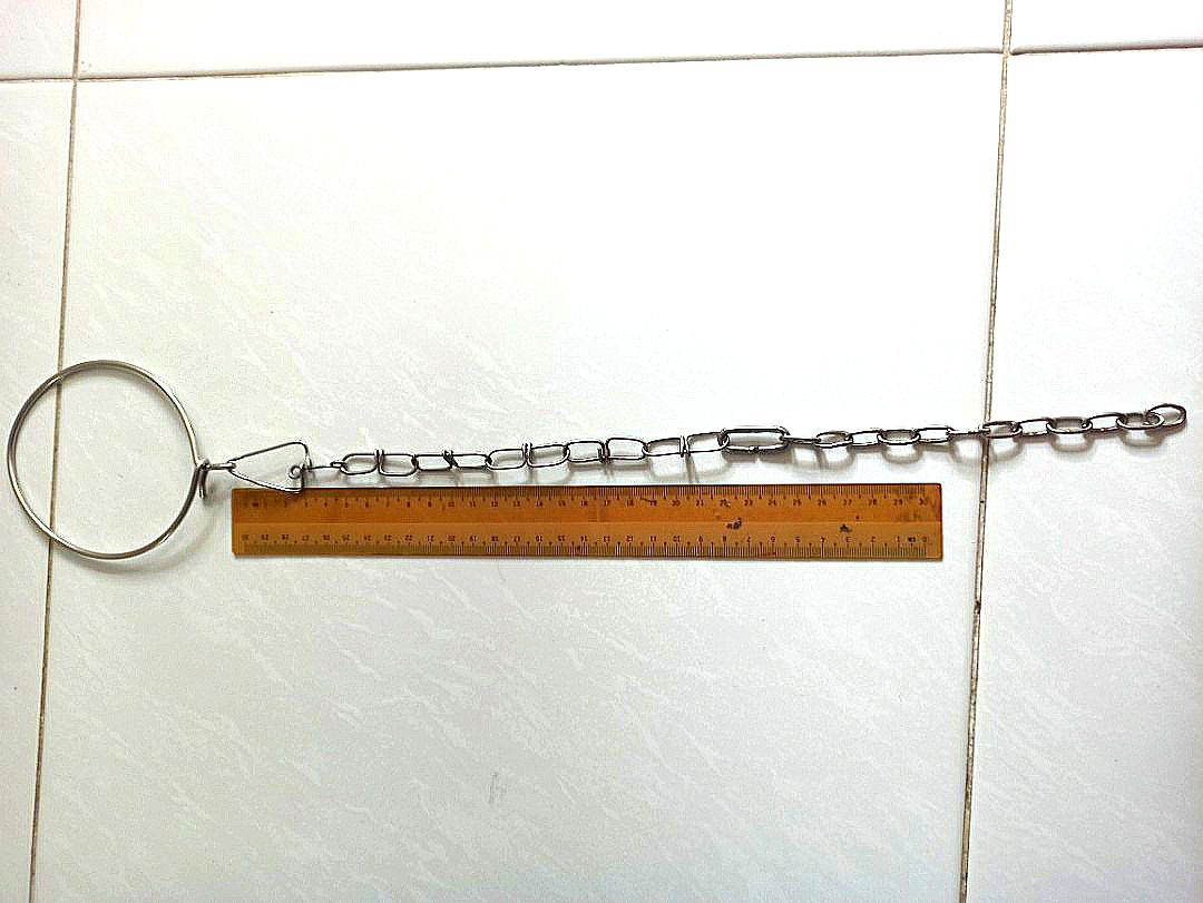 Parrot leg chain, Pet Supplies, Homes & Other Pet Accessories on Carousell