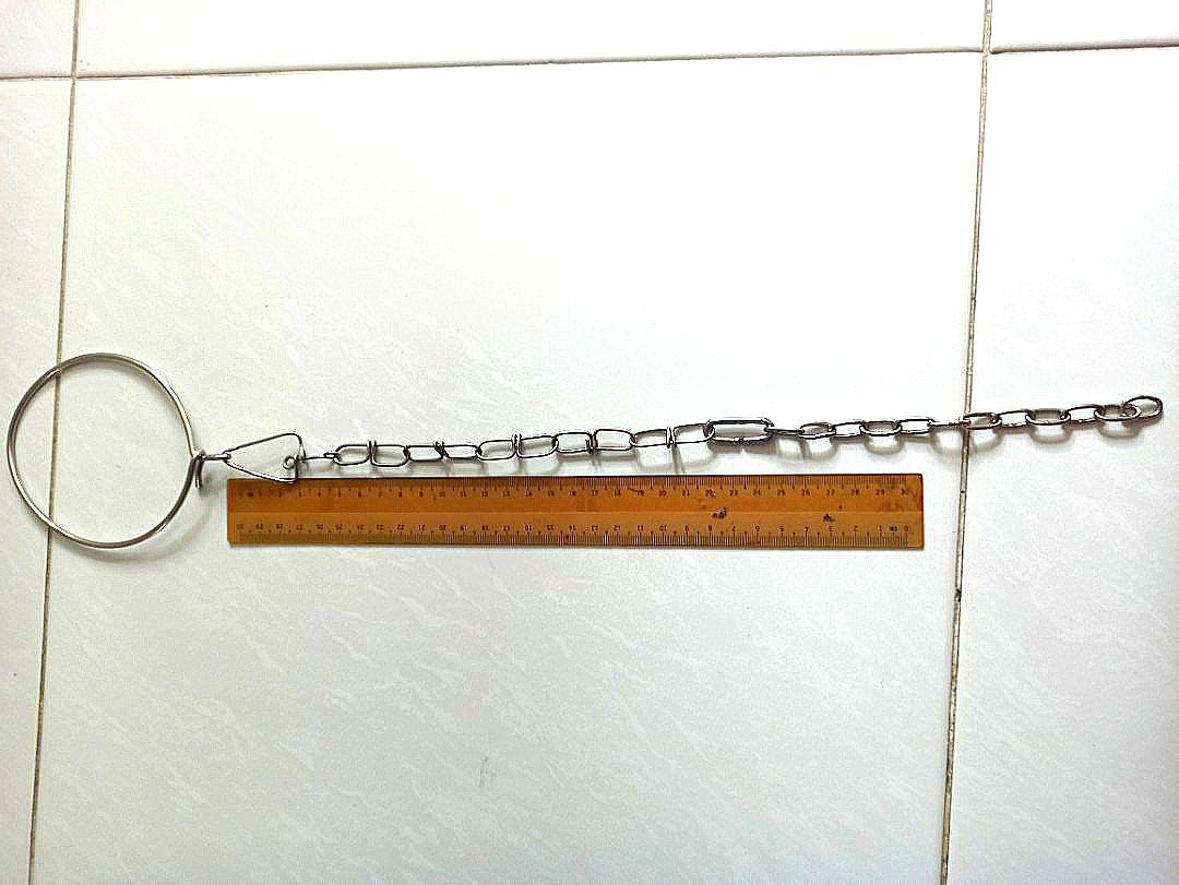 Parrot leg chain, Pet Supplies, Homes & Other Pet Accessories on Carousell