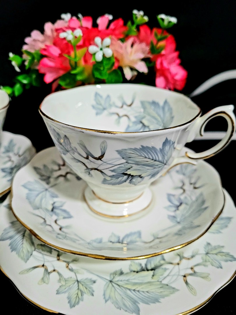 Royal Albert Silver Maple, Furniture & Home Living, Kitchenware ...