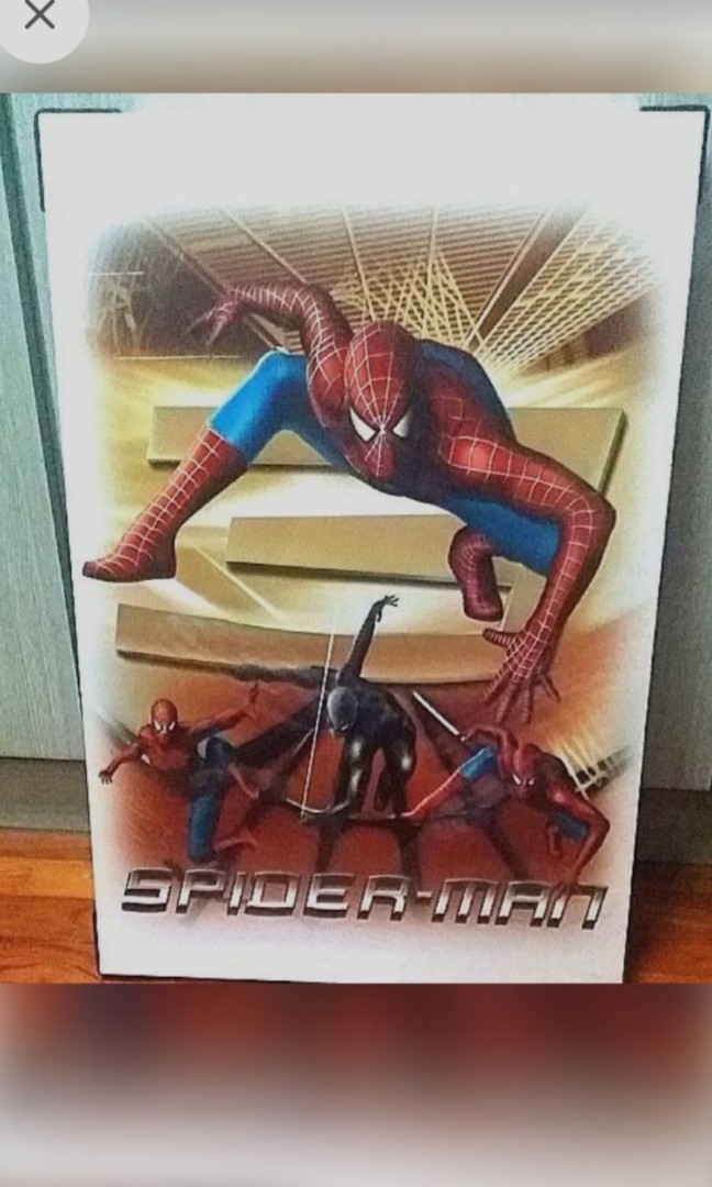 SPIDER-MAN Picture Wall Frame, Everything Else on Carousell