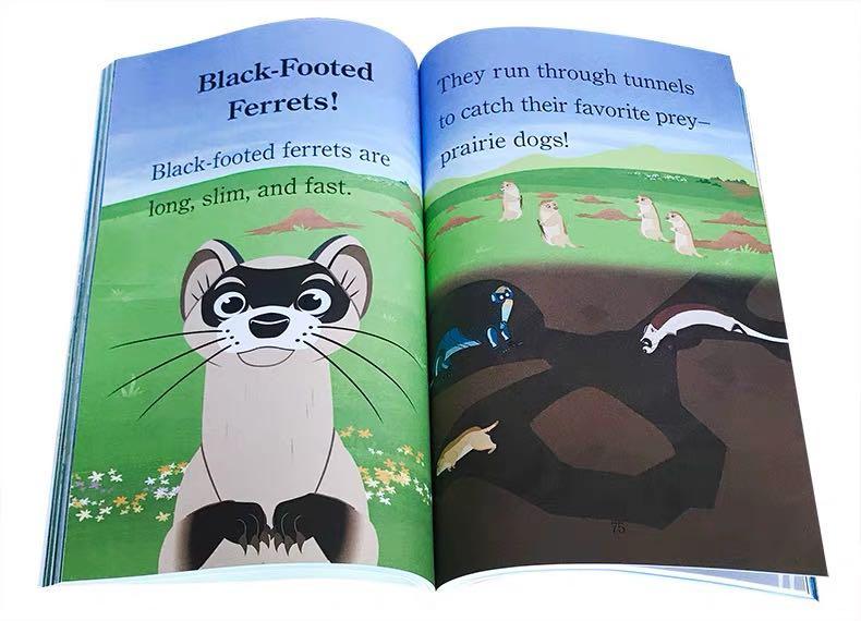 Wild Kratts 5 creature adventure step into reading, Hobbies & Toys, Books & Magazines, Children ...