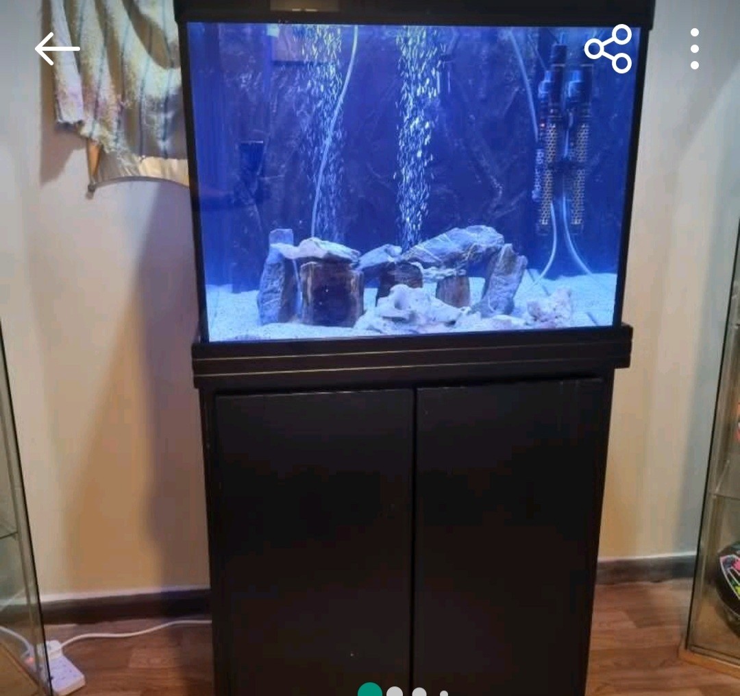 2x2x2 ft cabinet fish tank, Pet Supplies, Homes & Other Pet Accessories ...