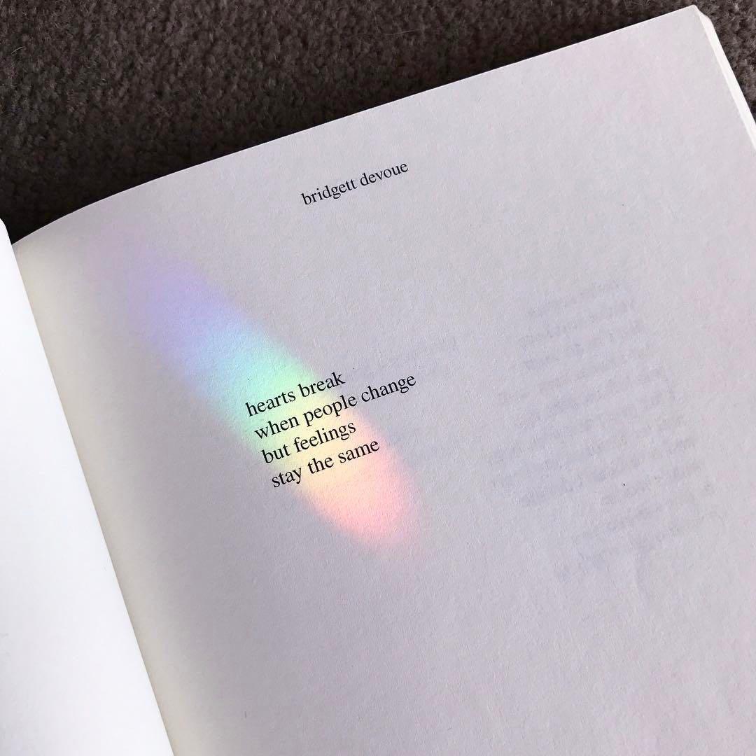 Soft Thorns Poem by Bridget Devoue, Hobbies & Toys, Books & Magazines ...