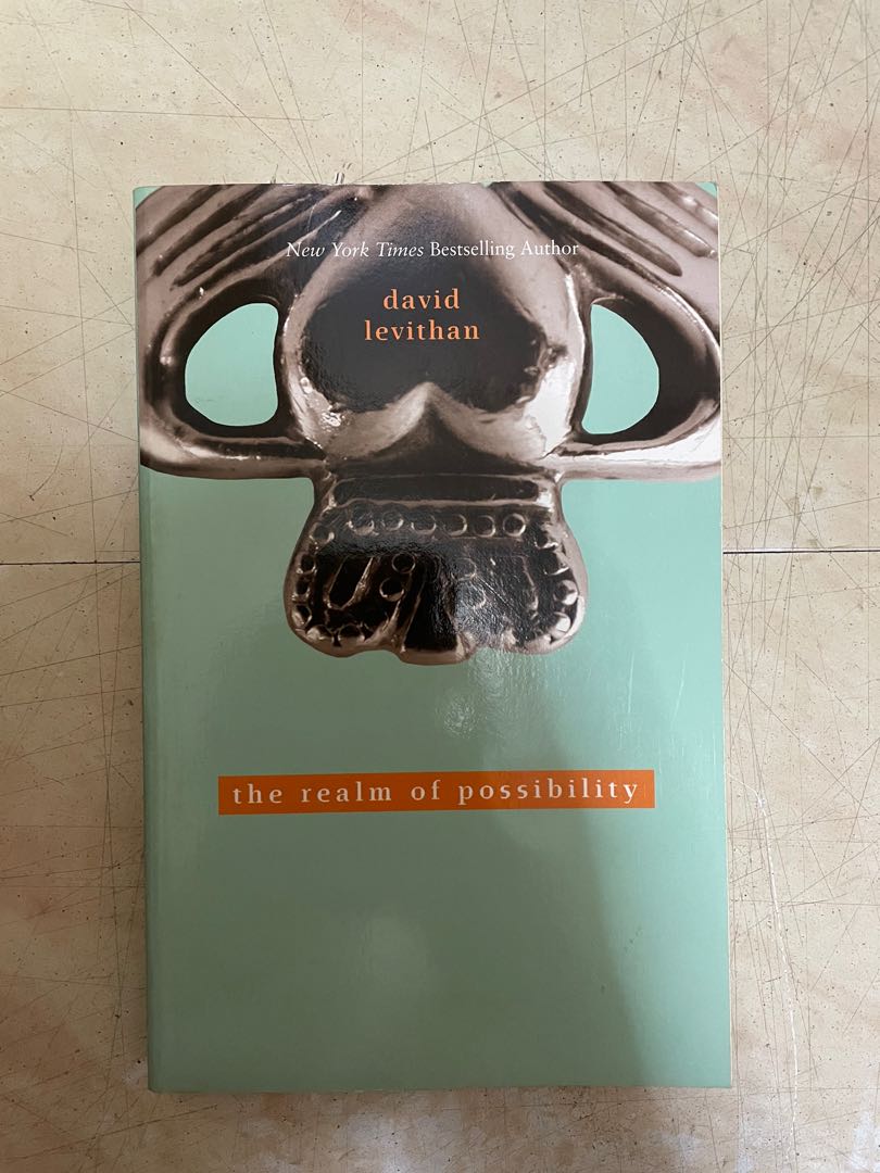 The Realm of Possibility by David Levithan, Hobbies & Toys, Books ...