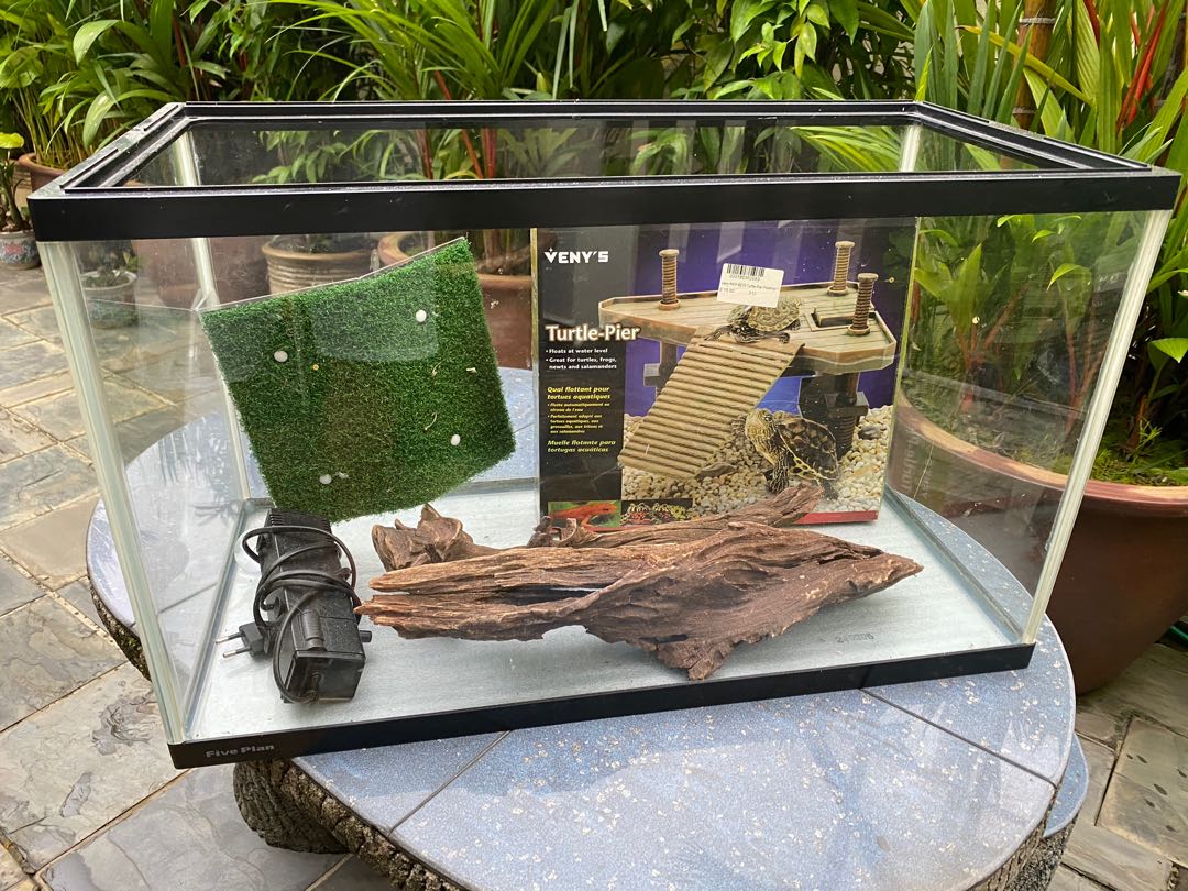 Turtle or tortoise tank, Pet Supplies, Homes & Other Pet Accessories on ...
