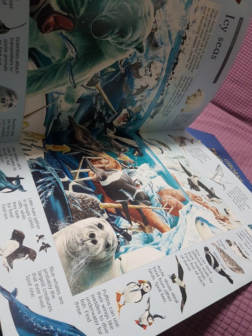 Usborne the great animal search.., Hobbies & Toys, Books & Magazines ...