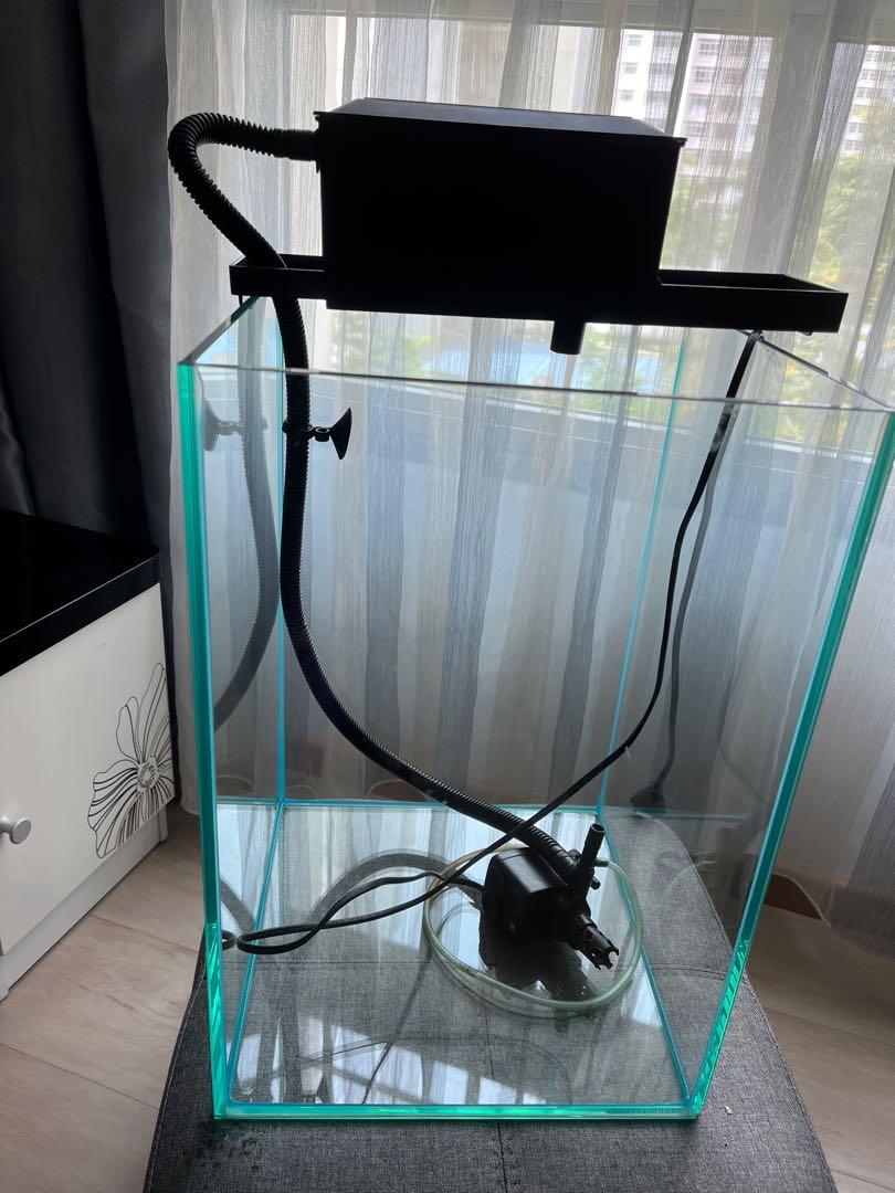 1ft x 1ft fish tank, Pet Supplies, Homes & Other Pet Accessories on ...