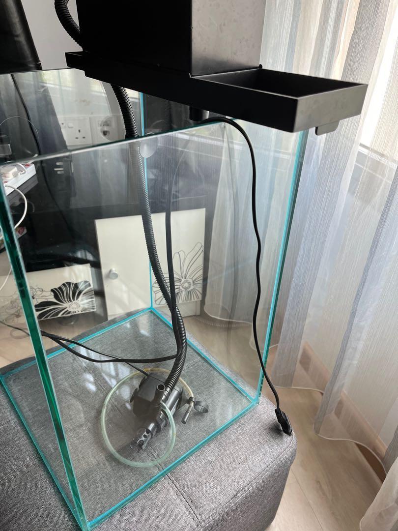 1ft x 1ft fish tank, Pet Supplies, Homes & Other Pet Accessories on ...