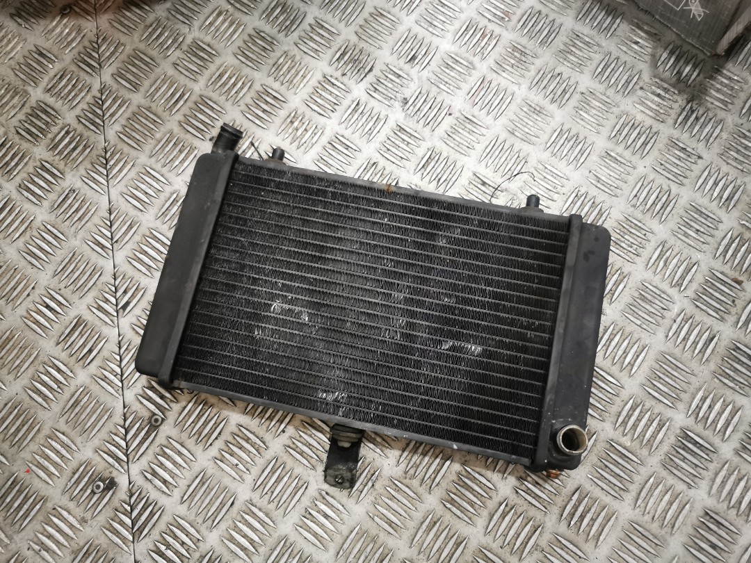Aprilia RS125 Radiator, Motorcycles, Motorcycle Accessories on Carousell