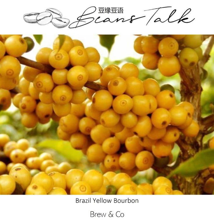 ARABICA Single Origins Coffee Beans Freshly Roasted | Espresso ...