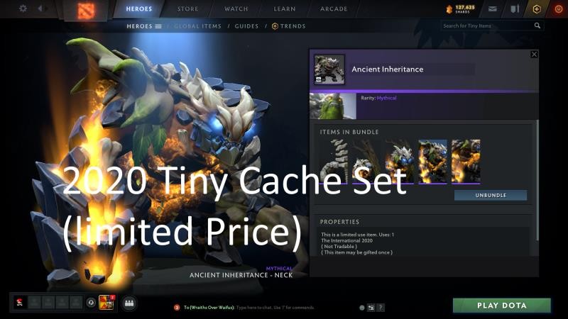Dota 2 2020 Cache Set RARE Tiny‼️, Video Gaming, Gaming Accessories, In ...
