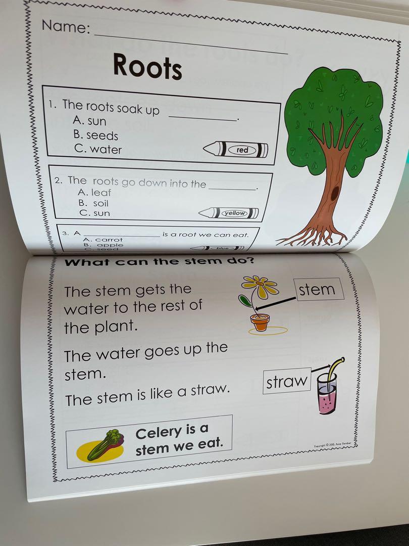 phonics alphabet sentences, Hobbies & Toys, Books & Magazines ...