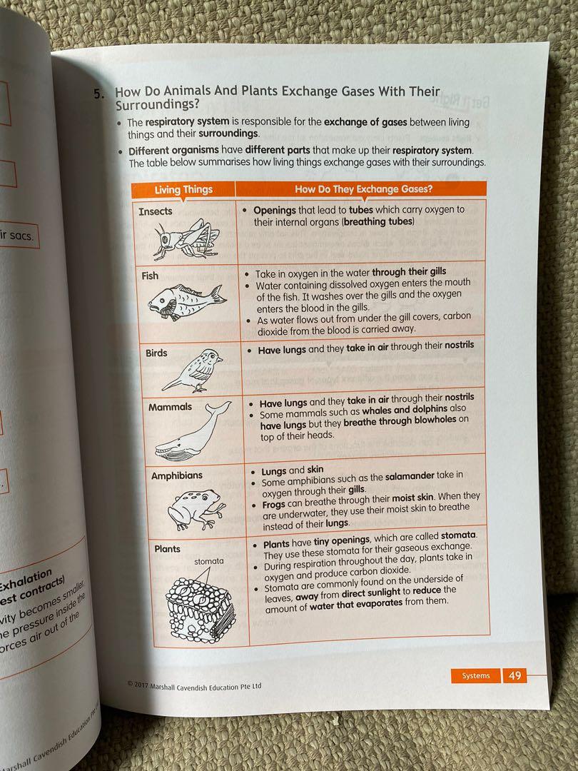 PSLE Science Revision Guide P5 & 6, Hobbies & Toys, Books & Magazines ...