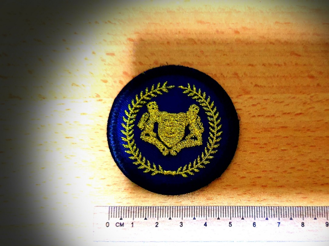 SAF WO1 Warrant Officer Rank / Badge, Hobbies & Toys, Memorabilia ...