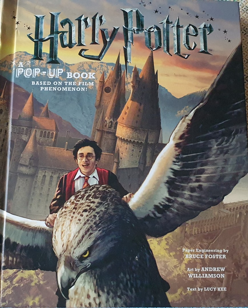 Harry Potter Pop-up book by Andrew Williamson, Hobbies & Toys, Books ...
