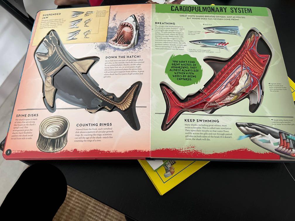 Inside out sharks, Hobbies & Toys, Books & Magazines, Fiction & Non ...