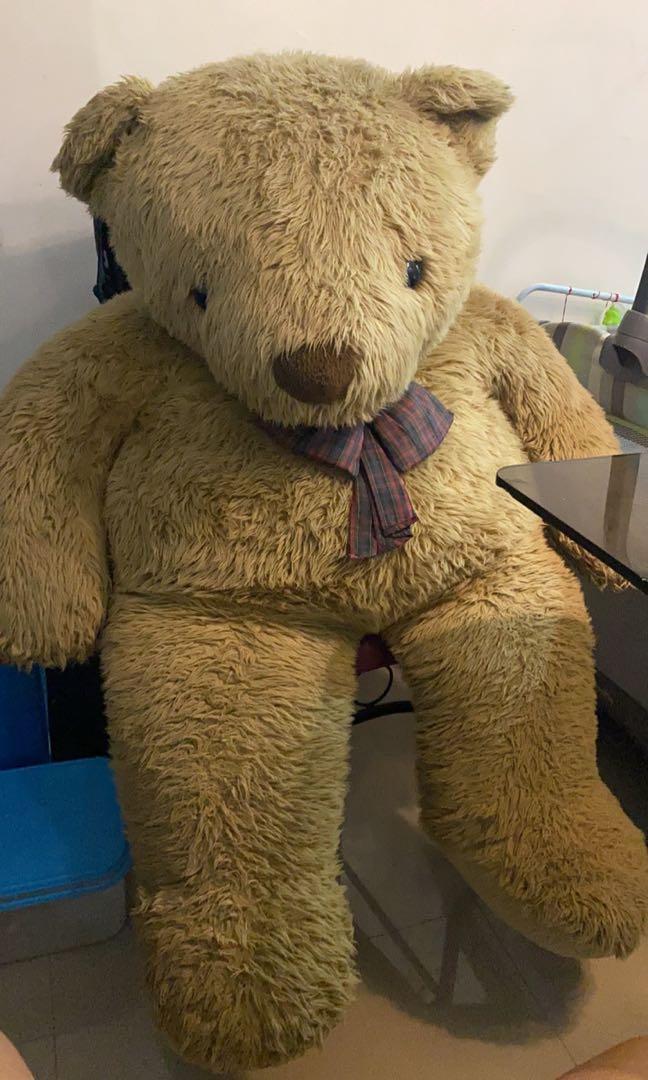 Life-sized Teddy Bear, Hobbies & Toys, Toys & Games on Carousell