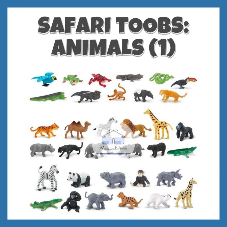 Safari Toob: Animals (Wild Animals / Galapagos / Rainforest / Zoo ...