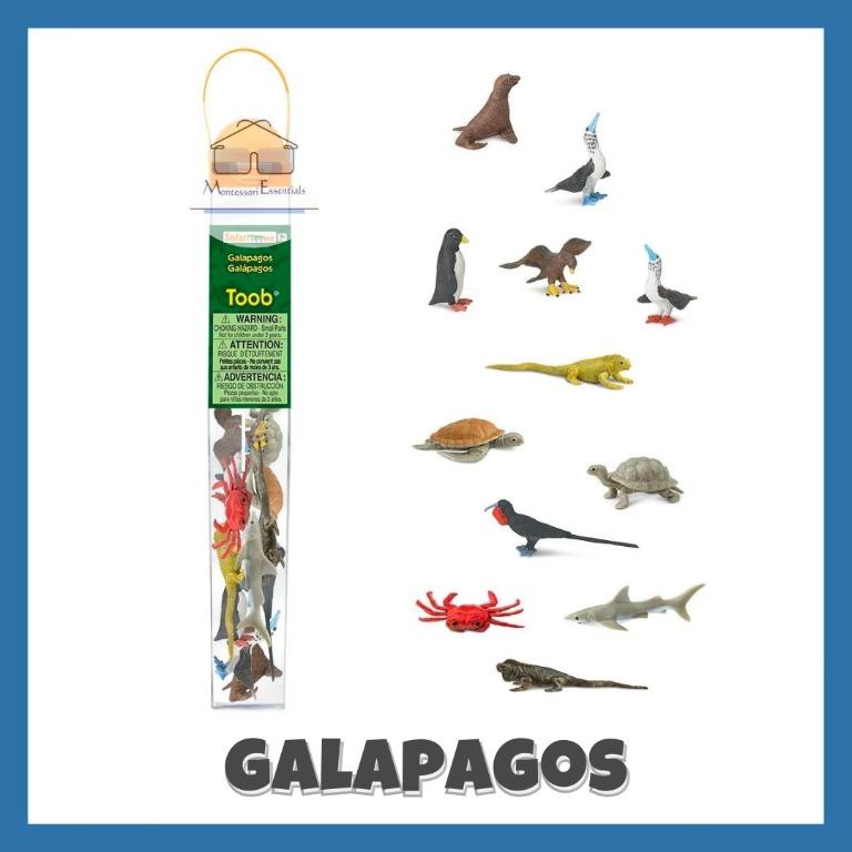 Safari Toob: Animals (Wild Animals / Galapagos / Rainforest / Zoo ...