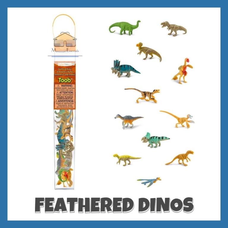 Safari Toob: Dinosaurs (Carnivorous Dinos / Feathered Dinos / Dino ...