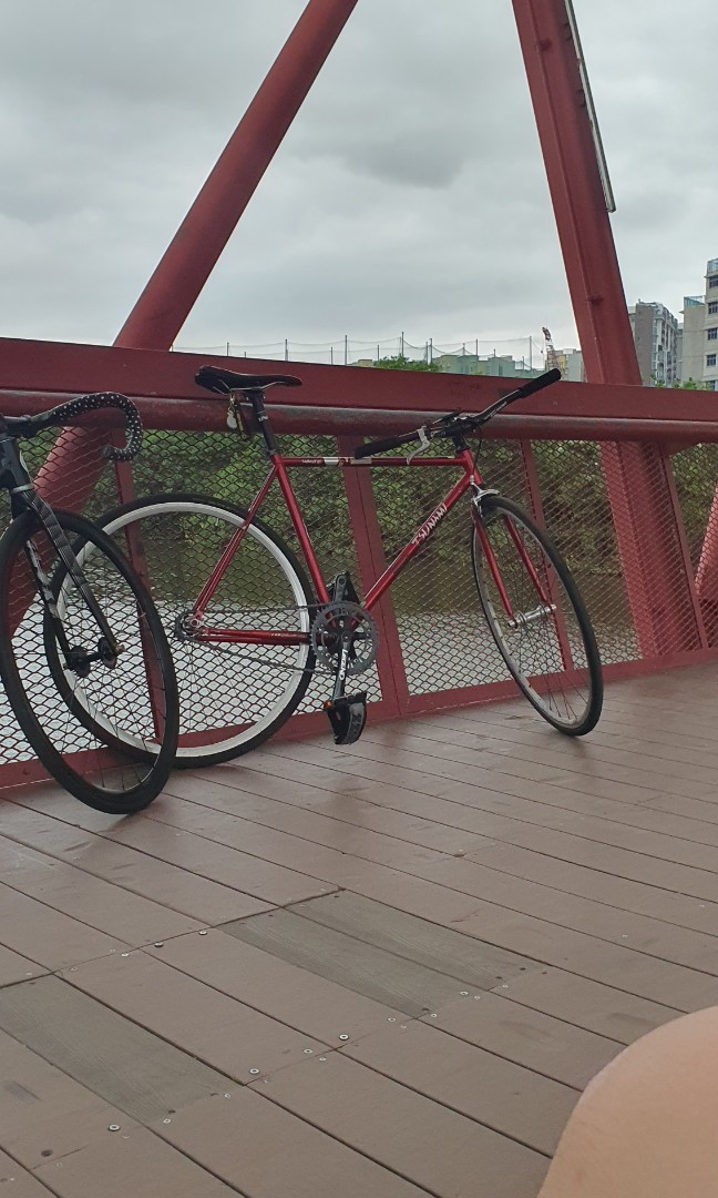 Tsunami 4130, Sports Equipment, Bicycles & Parts, Bicycles on Carousell