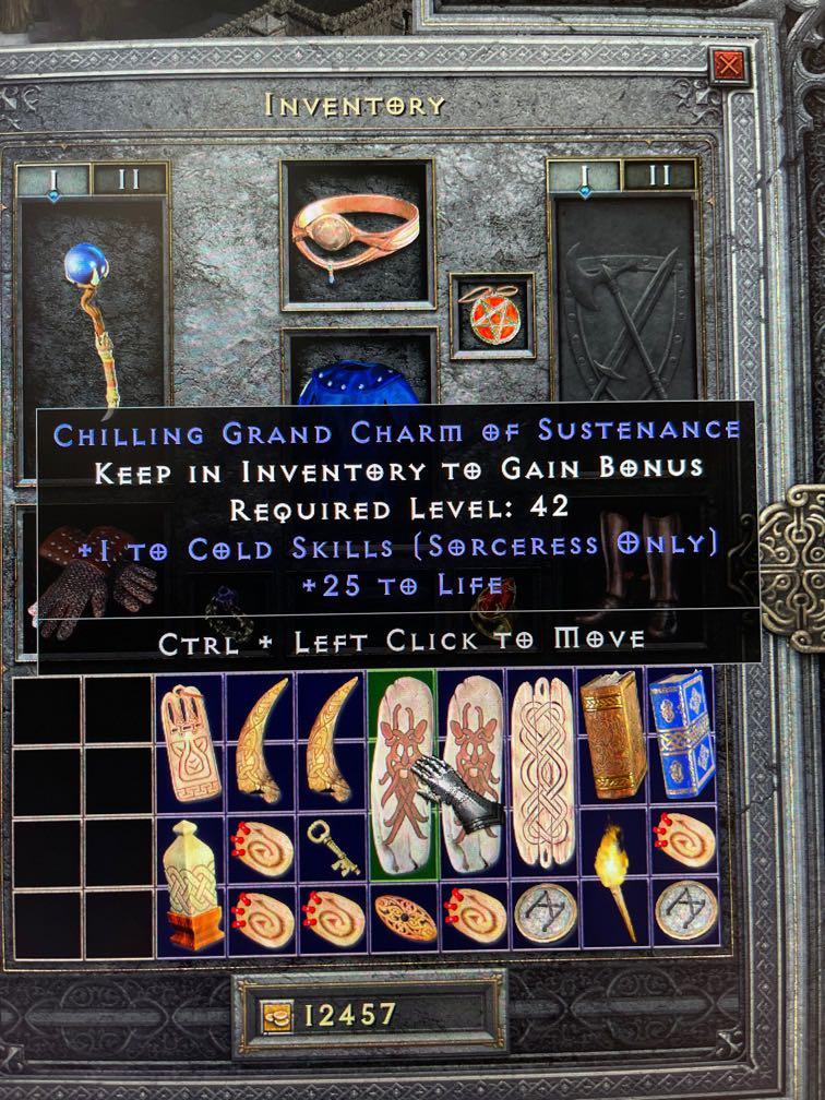 D2R Cold Skills Grand Charm Sorceress (PC), Video Gaming, Gaming ...