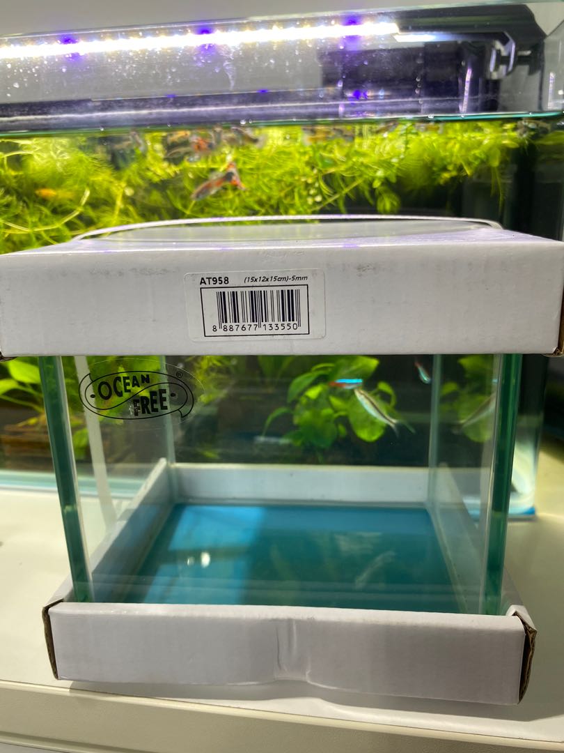 Ocean Free Glass Fish Tank(15*12*15), Pet Supplies, Homes & Other Pet ...