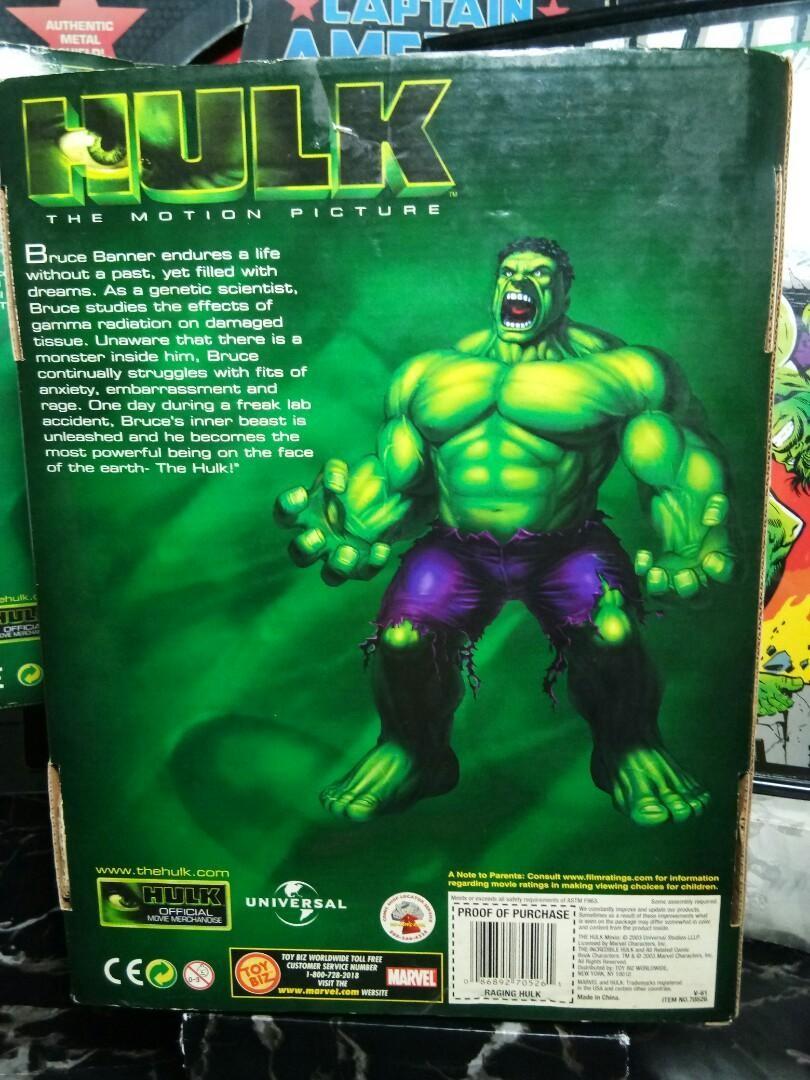 2003 Toybiz The Incredible Hulk The Movie Raging Hulk 13" Inch Poseable ...