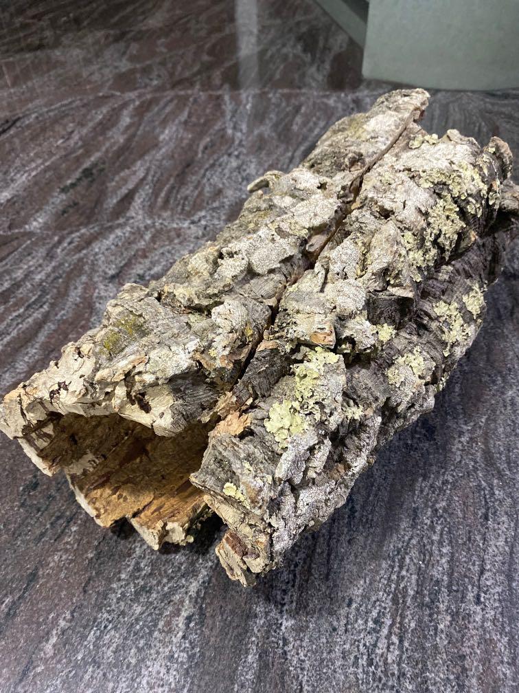 Big cork log for hamsters rabbits reptiles or rodents, Pet Supplies ...
