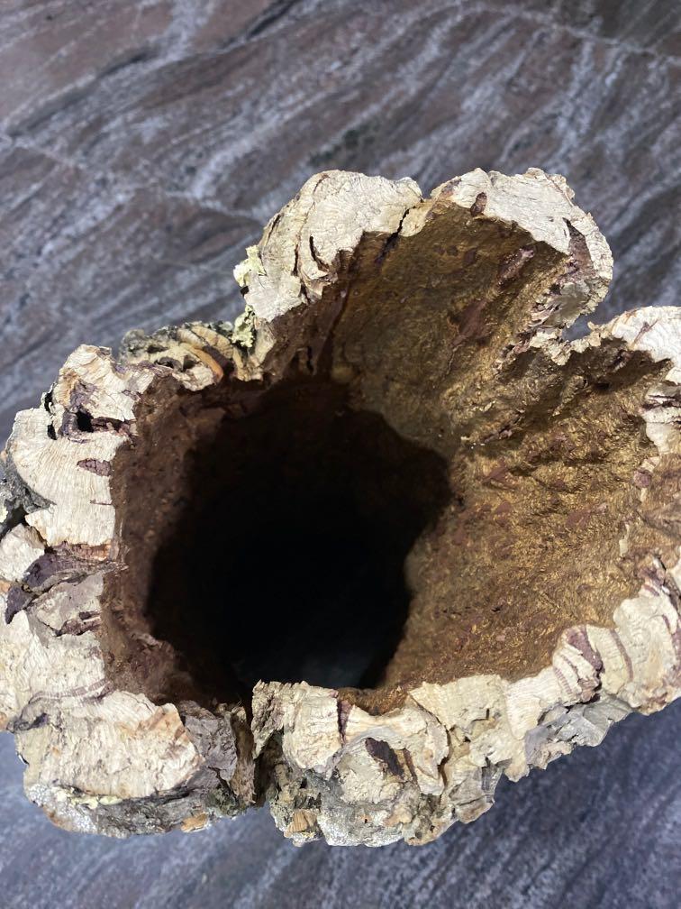 Big cork log for hamsters rabbits reptiles or rodents, Pet Supplies ...