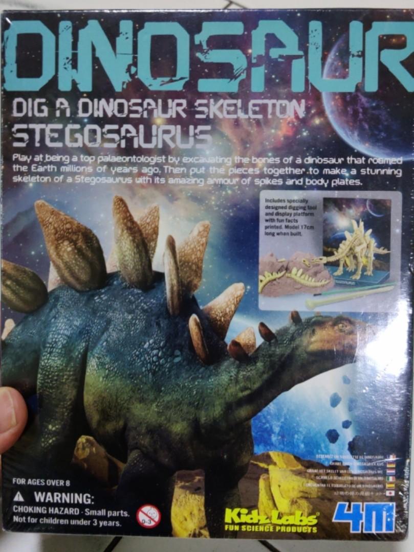 Dig skeleton and assemble the bones, Hobbies & Toys, Stationery & Craft ...