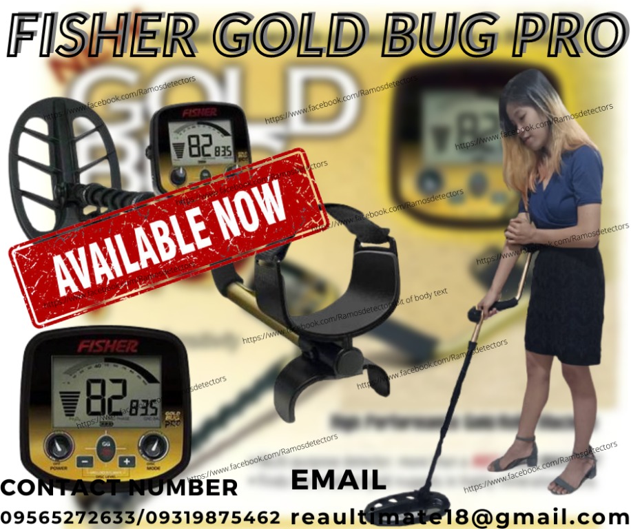 Fisher Gold Bug Pro 5 METERS Depth Metal and Gold Detector, Commercial ...