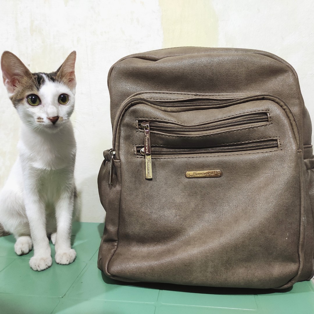 Jovanni Brown Leather Bag, Women's Fashion, Bags & Wallets, Backpacks ...