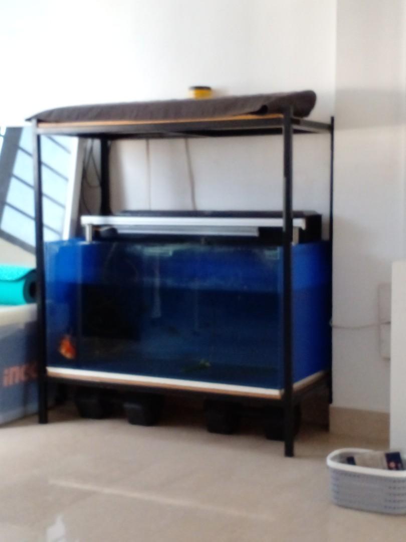 3 feet 2 tiers fish Tank rack with a 3 feet fiah tank and accessories ...