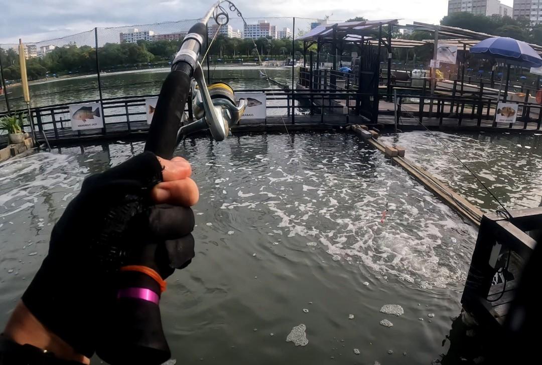 Torikumu Beast rod limmited !!!, Sports Equipment, Fishing on Carousell