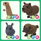 MEERKAT/CAPYBARA/RHINO/PLATYPUS (ADOPT ME PET), Video Gaming, Gaming ...