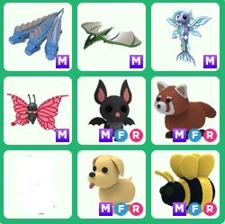 MEGA NEON ADOPT ME PETS, Video Gaming, Gaming Accessories, In-Game ...