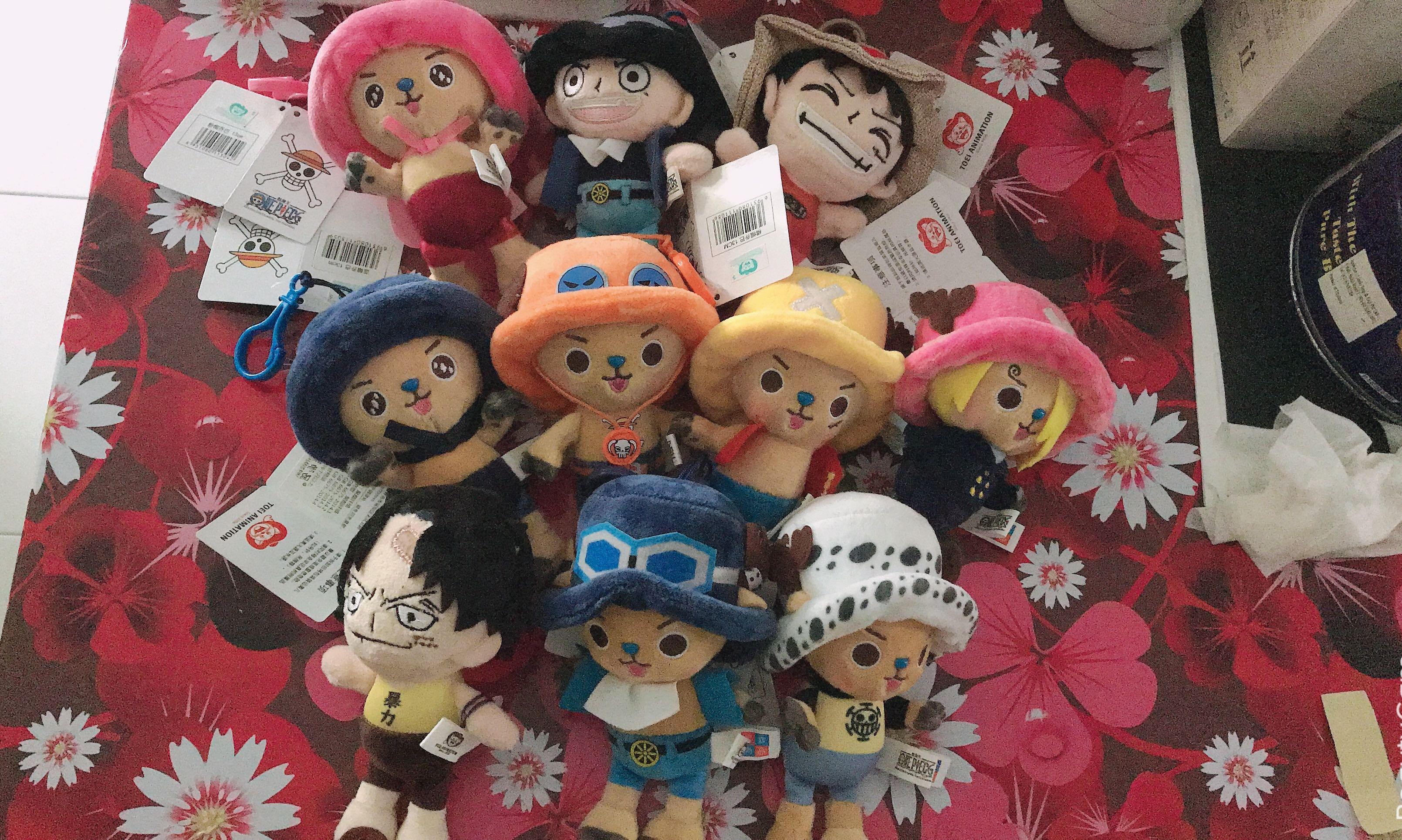 One Piece Keychain set, Hobbies & Toys, Toys & Games on Carousell