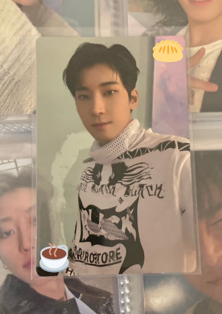 ONHAND SEVENTEEN WONWOO CARAT VER PHOTOCARDS PC, Hobbies & Toys, Memorabilia & Collectibles, K ...