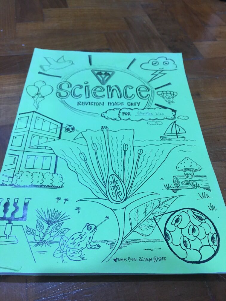 P3-P6 Science YangZheng Primary School Notes, Hobbies & Toys, Books ...