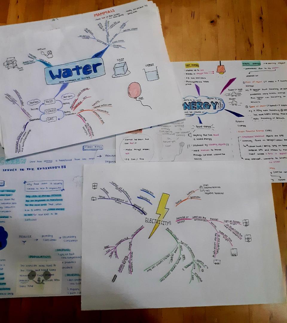 [🔥HOT SELLING] PSLE Science Condensed Notes | Concise Cheatsheets ...