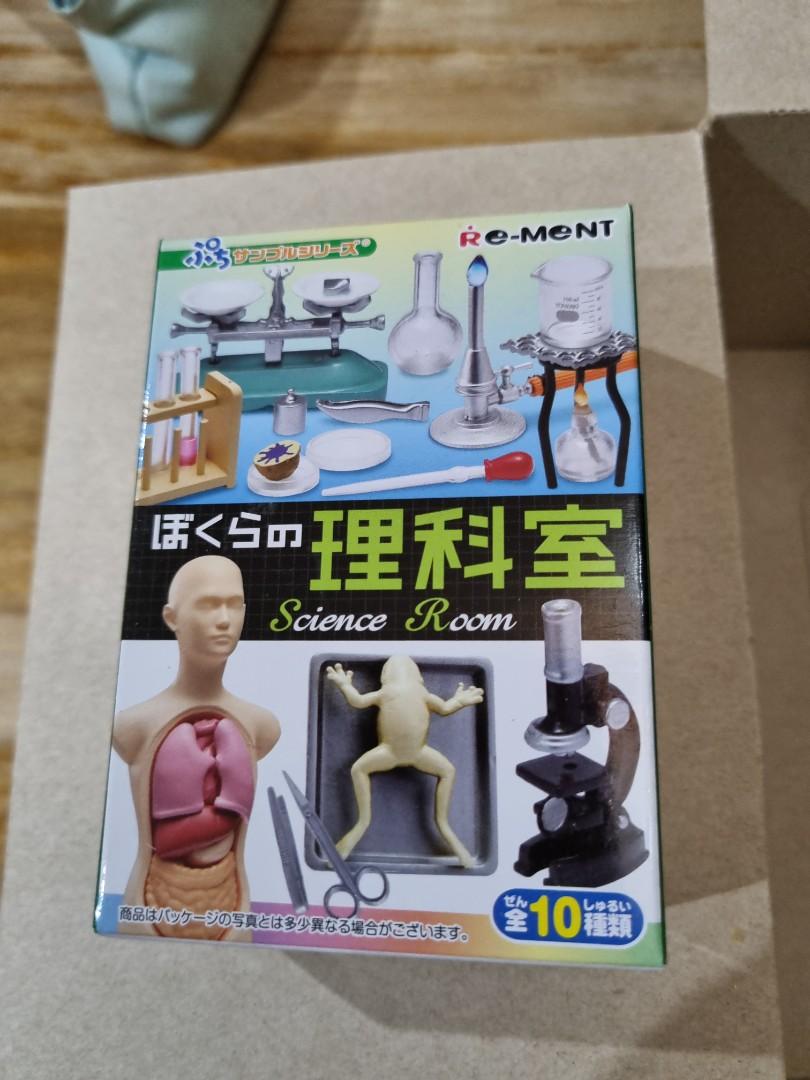 Rement Science Room An Anatomical model, Hobbies & Toys, Toys & Games ...