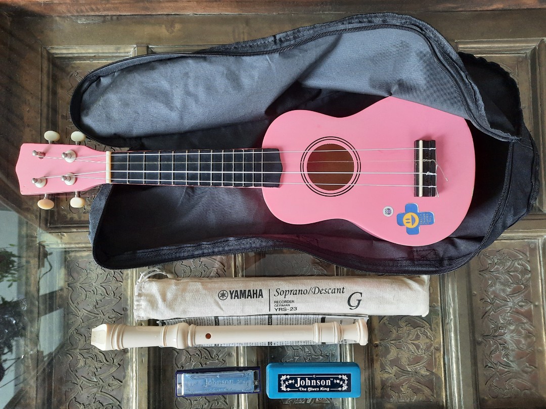 Assorted Musical Instruments, Hobbies & Toys, Music & Media, Musical ...