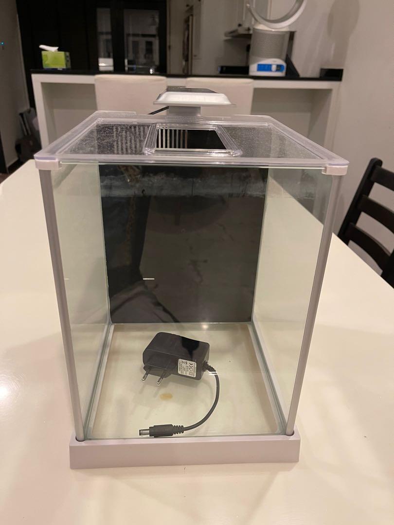 Fluval Spec Aquarium Kit 10L Fish Tank, Pet Supplies, Homes & Other Pet ...