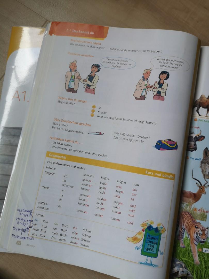 German Textbook for moelc Prima Plus A1. 1, Hobbies & Toys, Books ...