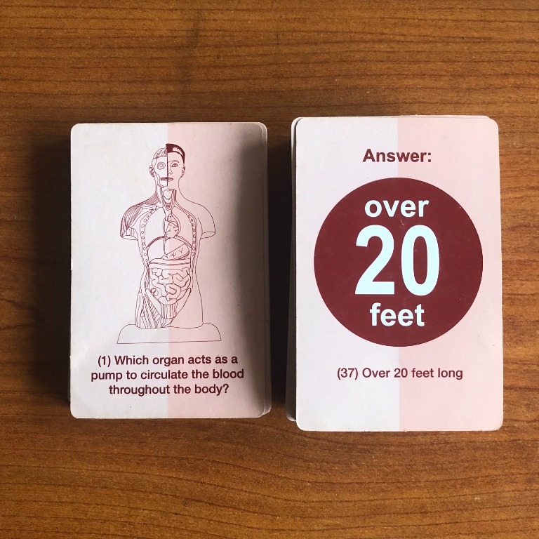 Basic Anatomy Quiz Cards 1-100, Hobbies & Toys, Toys & Games on Carousell
