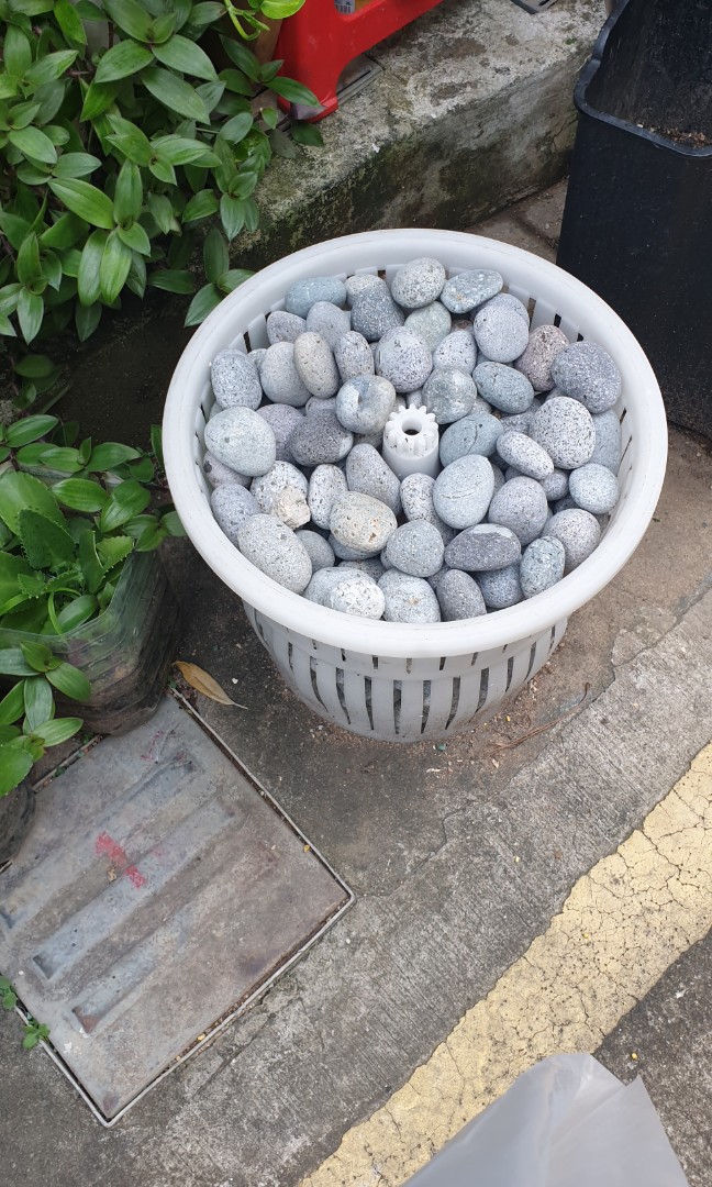 Gardening and potting stones, Furniture & Home Living, Gardening ...