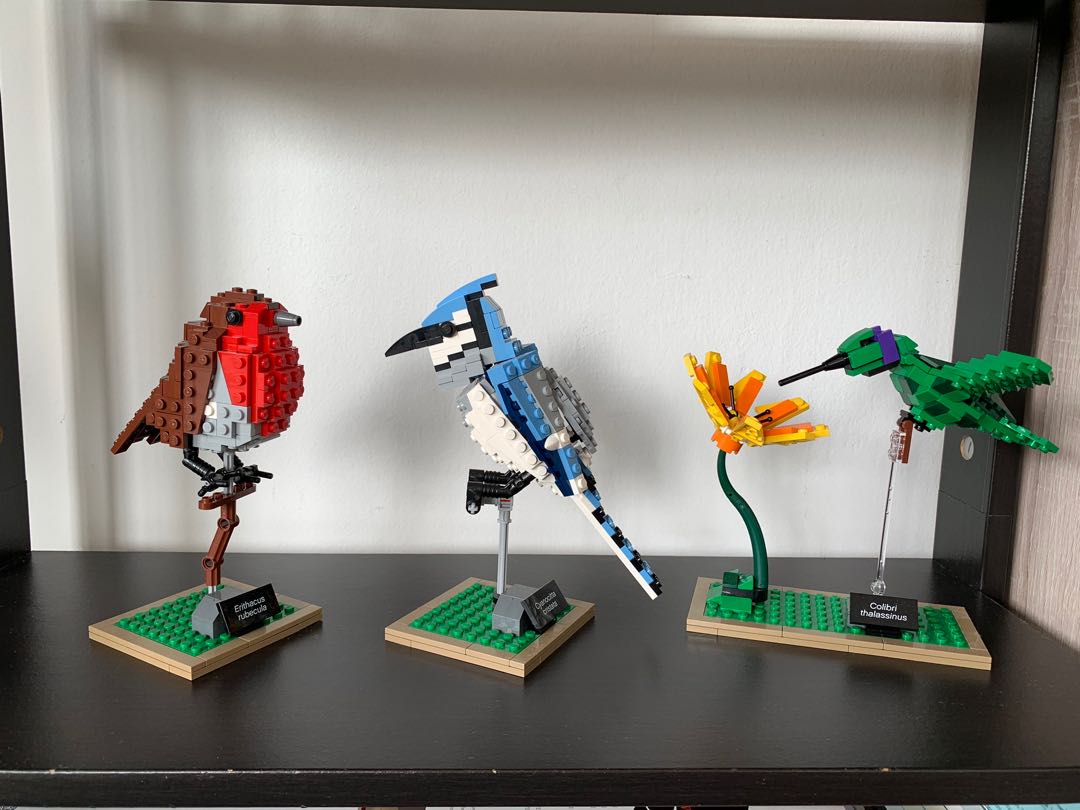 LEGO IDEAS 21301 birds - Assembled, Hobbies & Toys, Toys & Games on ...