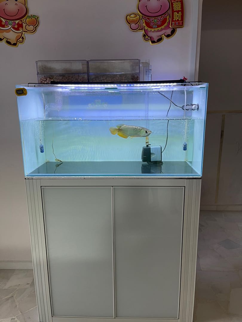 3 feet tank with aluminium cabinet, Pet Supplies, Homes & Other Pet ...